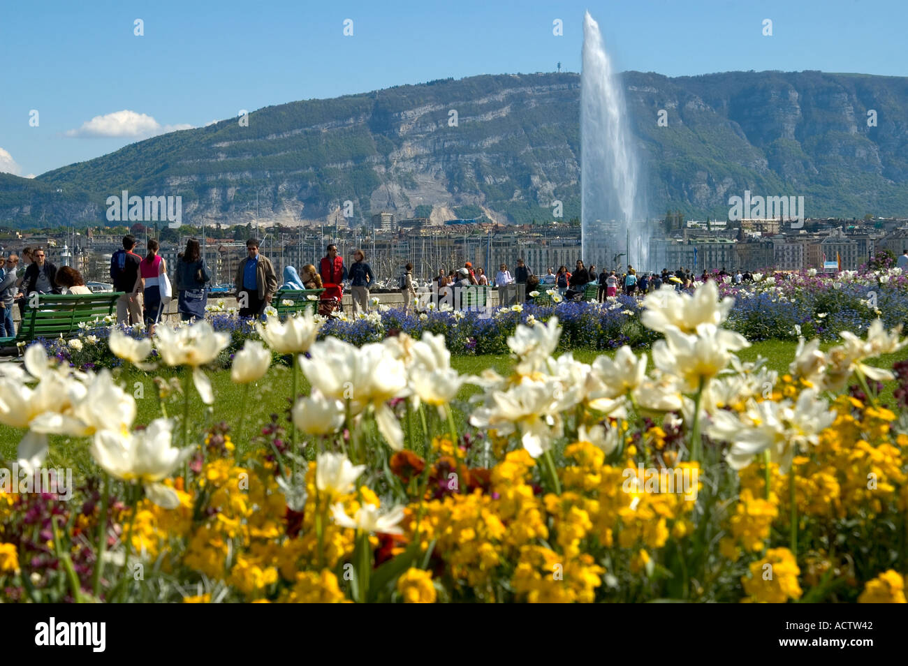 Spring in Geneva View at the Jet d Eau fountain and Mount Saleve Geneva ...