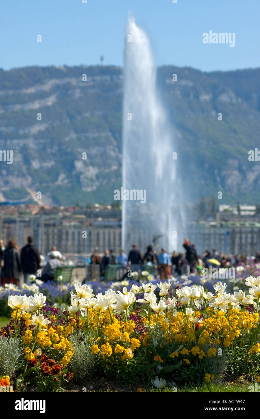 Spring in Geneva View at the Jet d Eau fountain and Mount Saleve Geneva ...