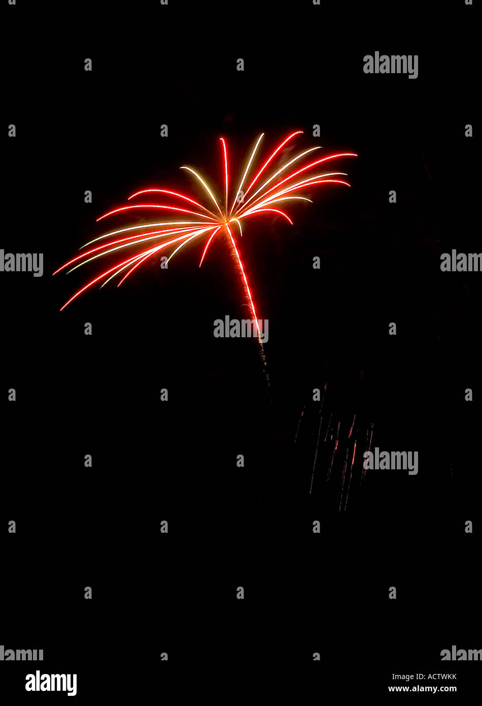 FIREWORKS LOOKS LIKE A PALM TREE Stock Photo - Alamy