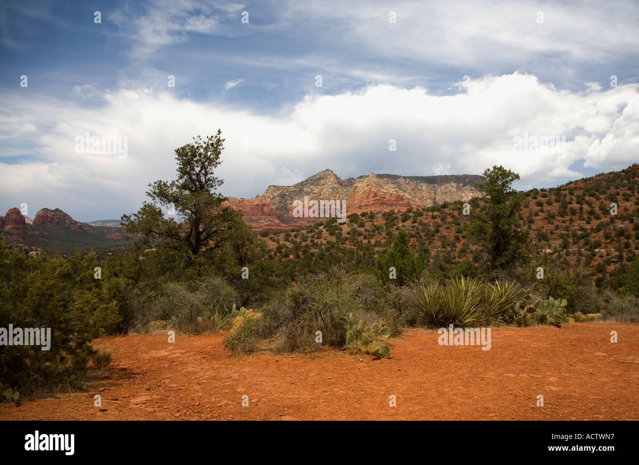 Red rocks Sedona Arizona Stock Photo - Alamy