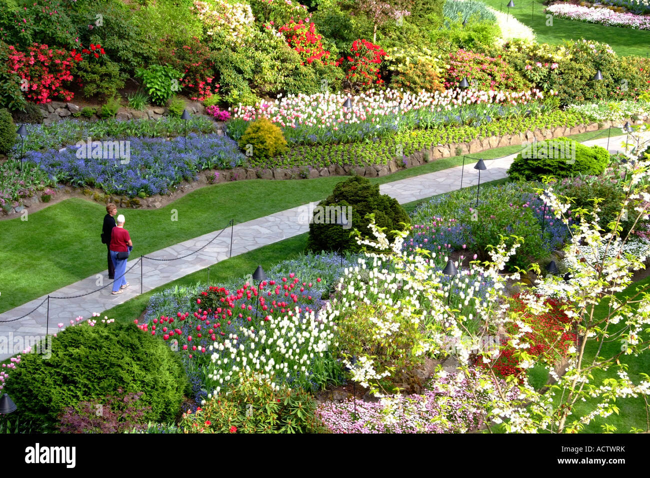 A COUPLE IS STROLLING IN THE BEAUTIFULLY BLOOMED BUCHART GARDEN IN ...