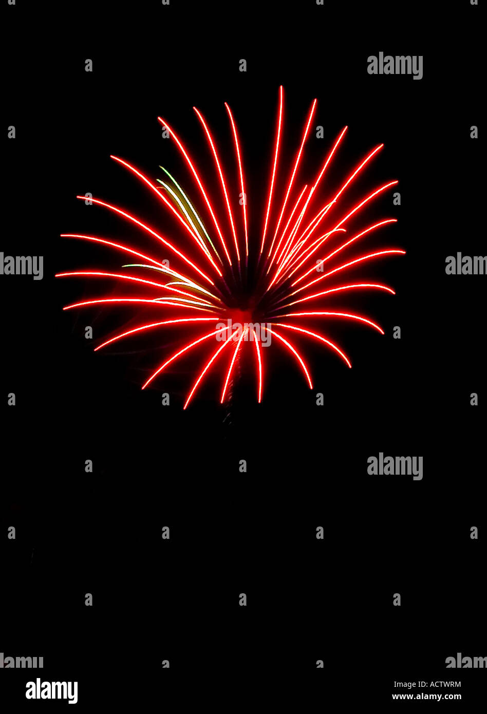 VERY SPECIAL FLOWER SHAPED BURST OF FIREWORKS Stock Photo - Alamy