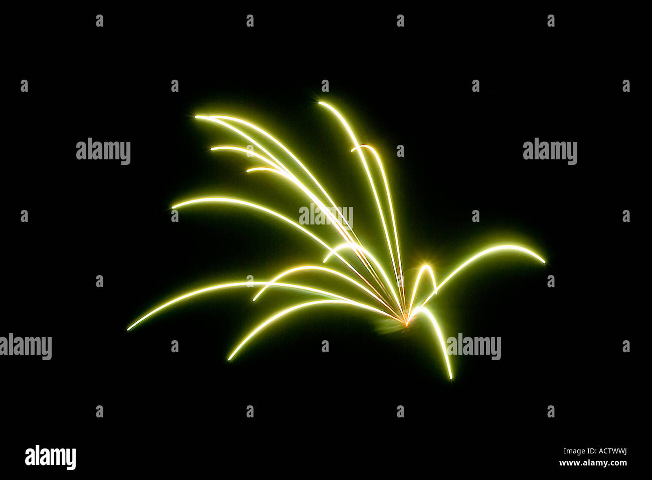 Fire weed in bloom hi-res stock photography and images - Alamy
