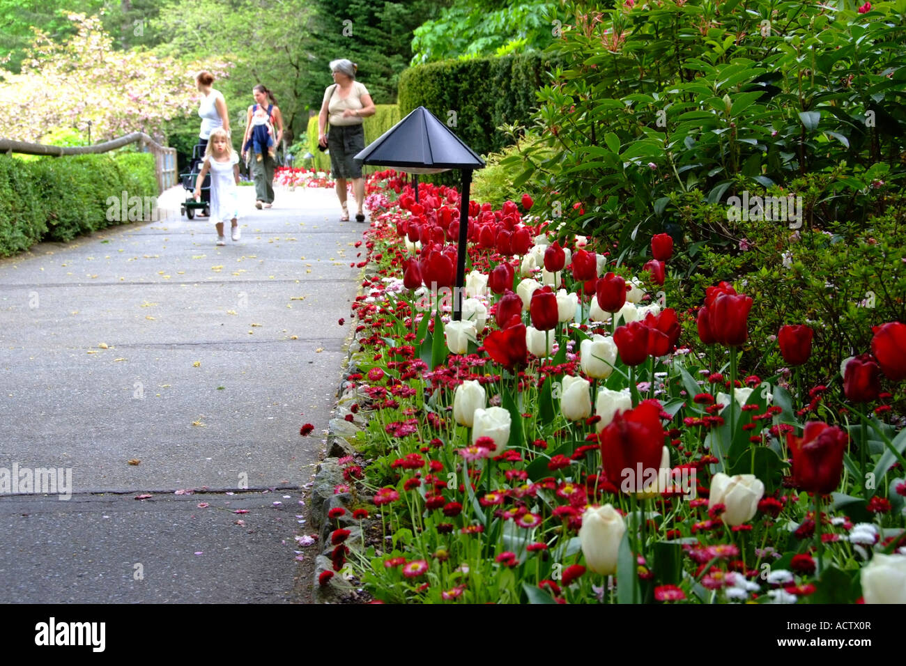 A THREE GENERATION FAMILY OF FEMALES IS TAKING A STROLL ON THE WALKWAY ...
