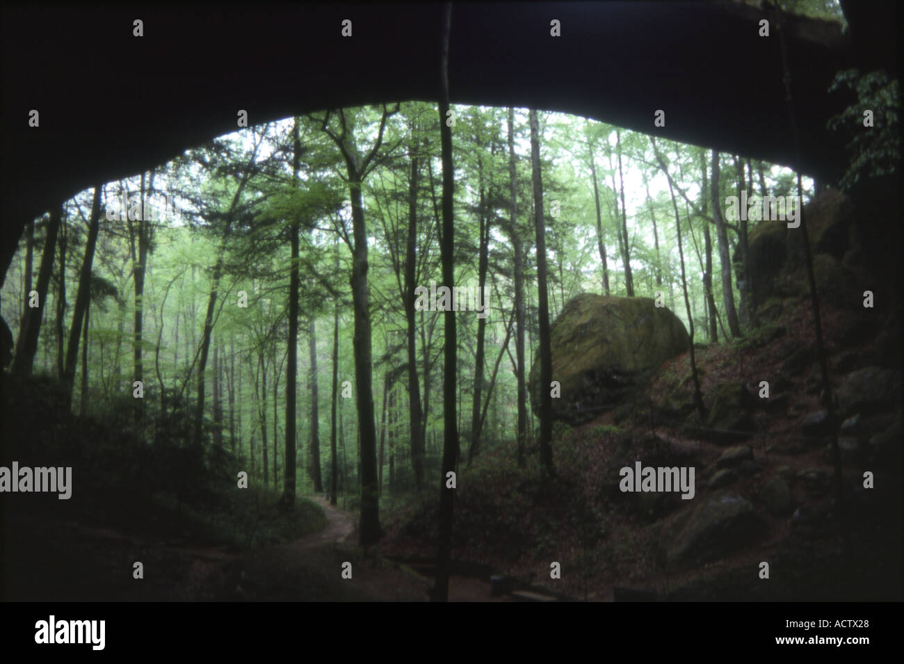 Natural Bridge, Alabama Stock Photo - Alamy