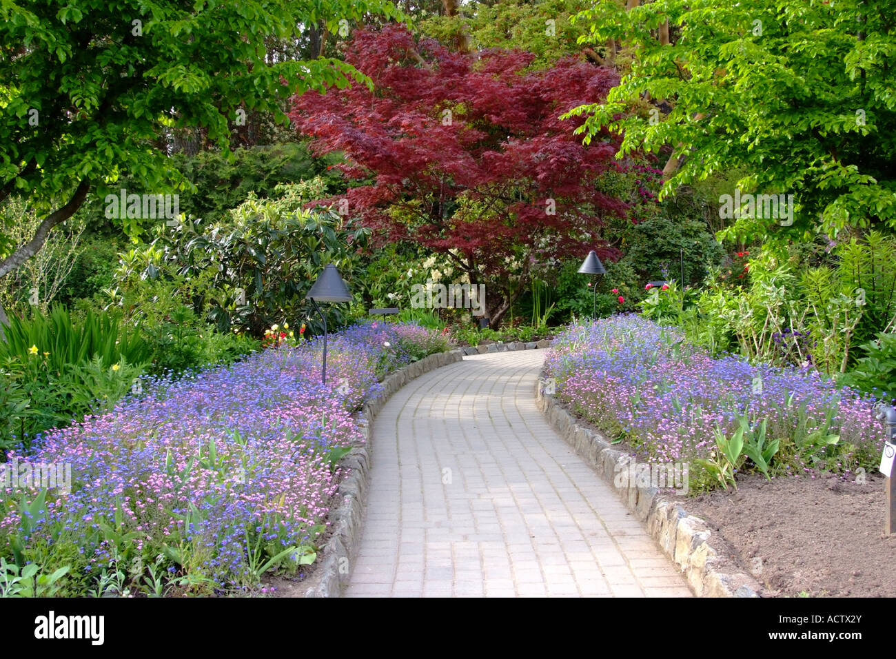 WALK WAY CURVING THROUGH THE CONTRASTING COLORED FLOWERS AND PLANTS ...