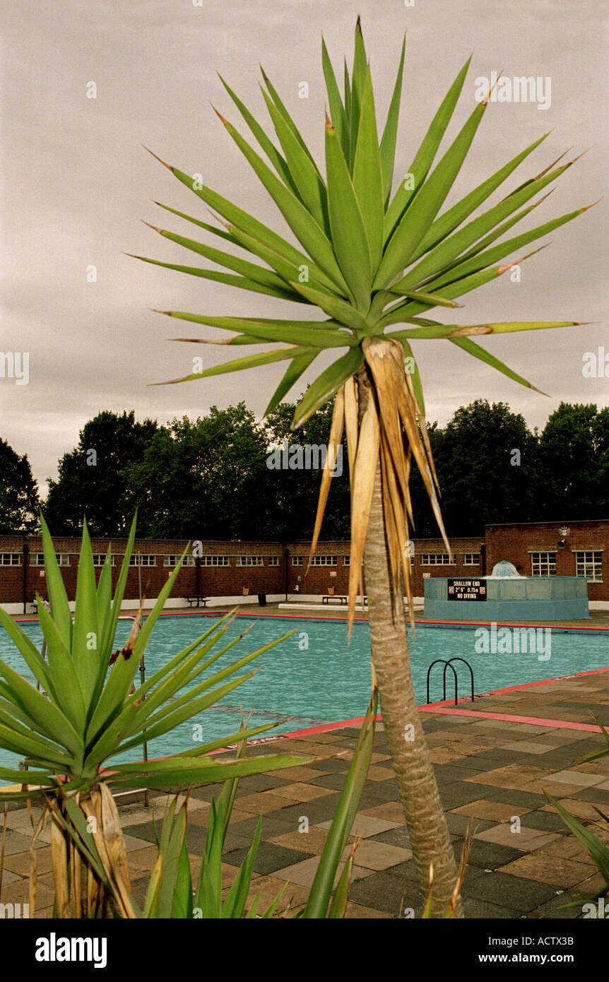 Hampstead Lido s 60 metre pool before a 3 million pound refurbishment ...