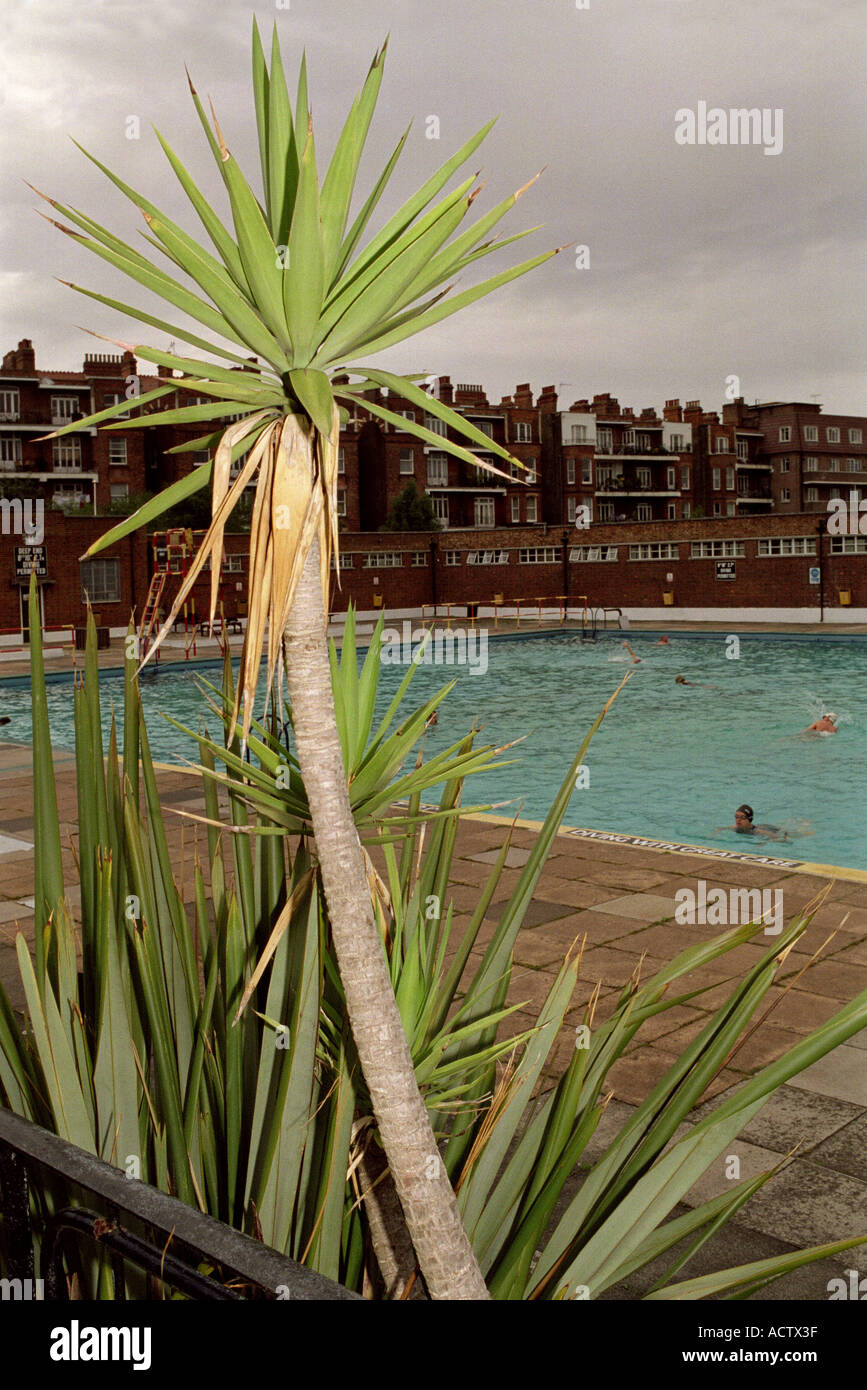 Hampstead Lido s 60 metre pool before a 3 million pound refurbishment ...