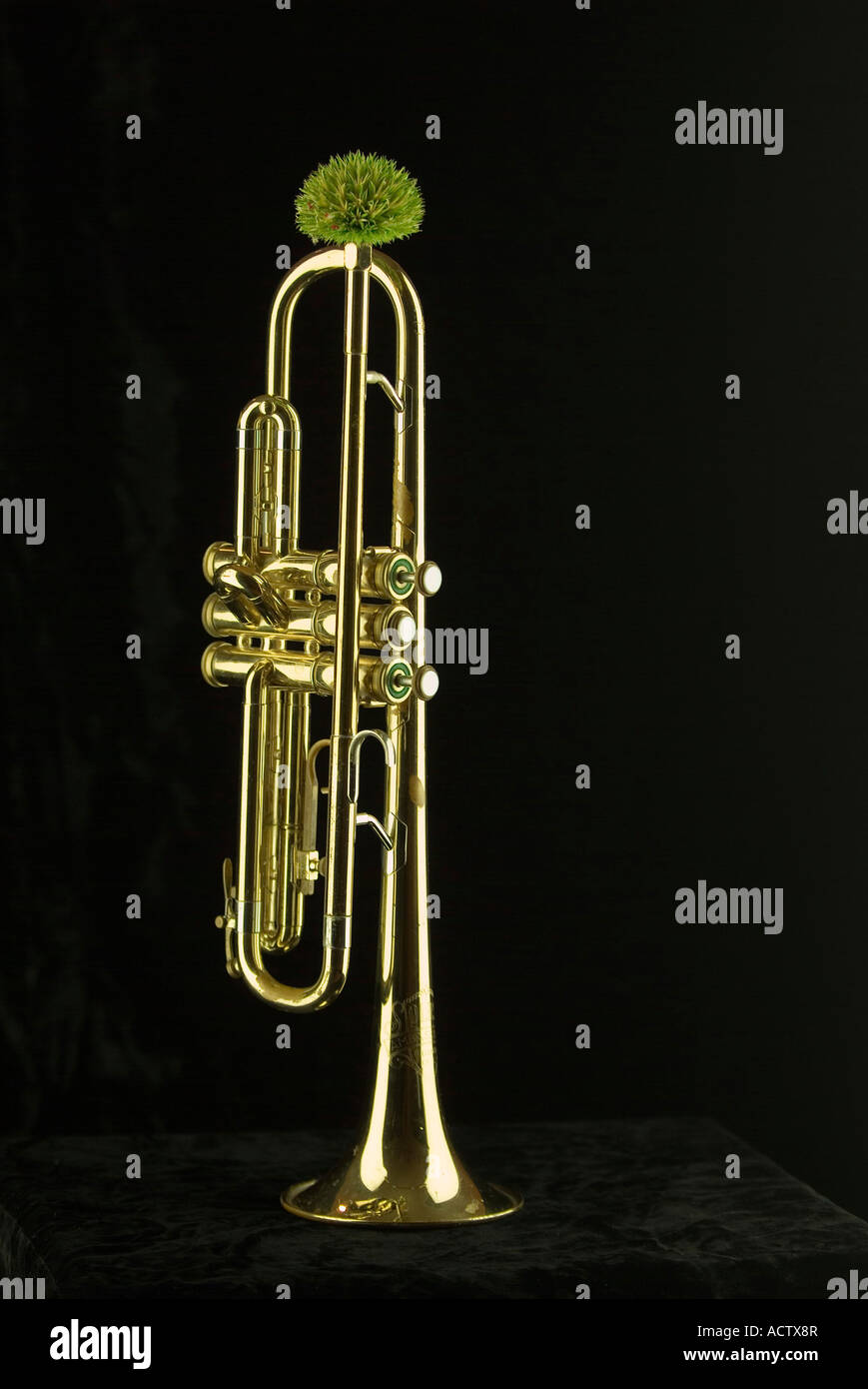PORTRAIT VIEW OF SHINY TRUMPET IN STUDIO SETUP Stock Photo - Alamy