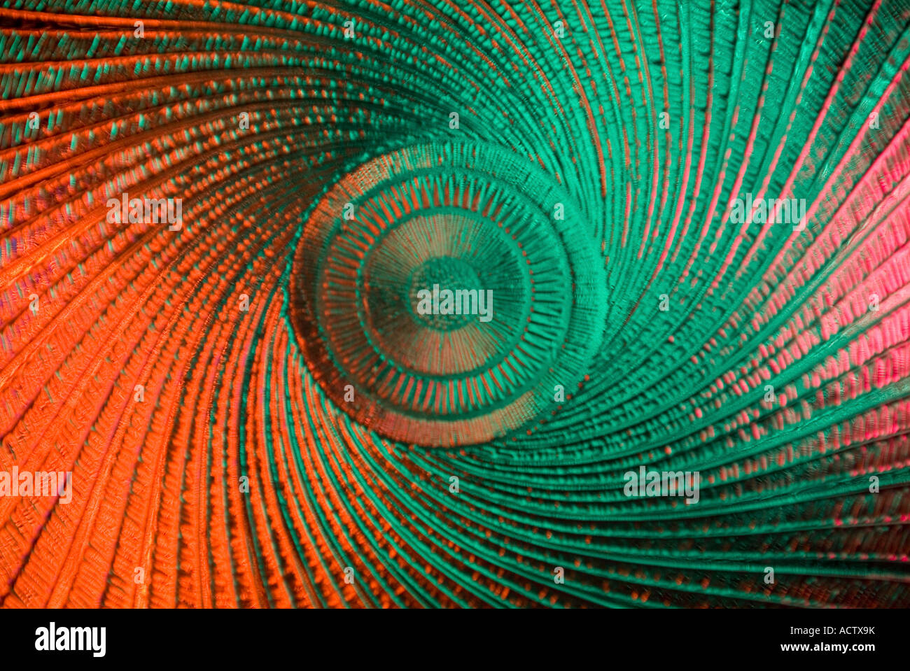 Spinning fire ball hi-res stock photography and images - Alamy