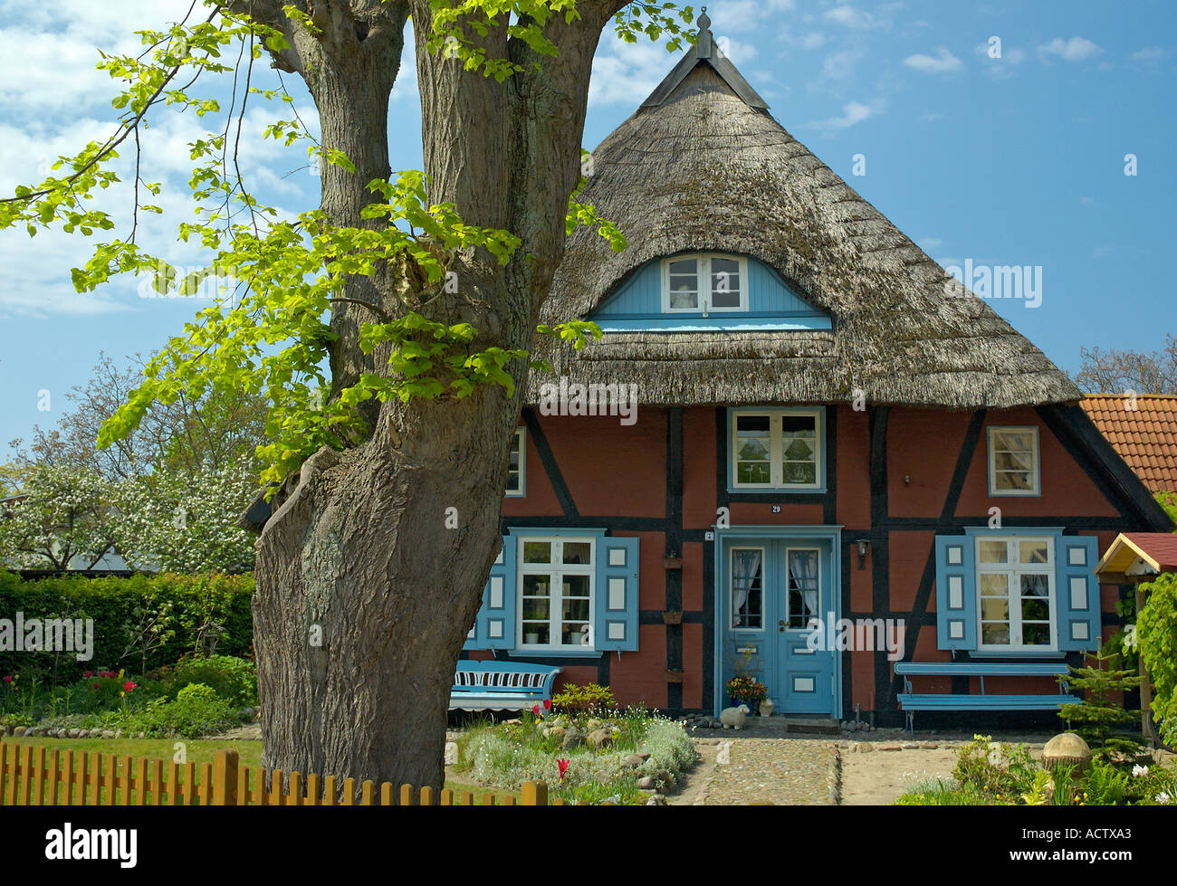 Typical house with a thatched roof at Wustrow Fischland Germany Stock ...