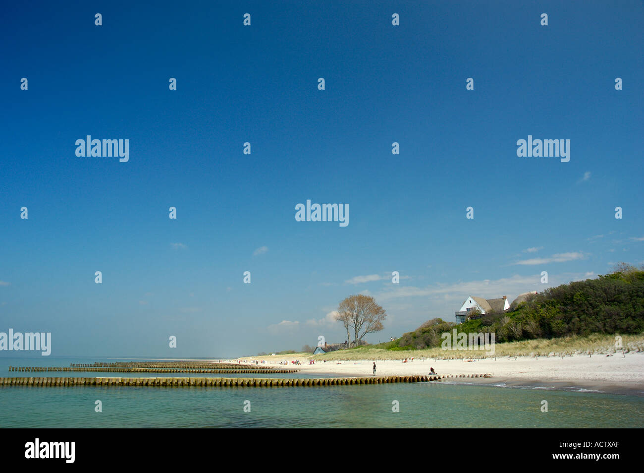 Beach at Arenshoop Darss Germany Stock Photo - Alamy