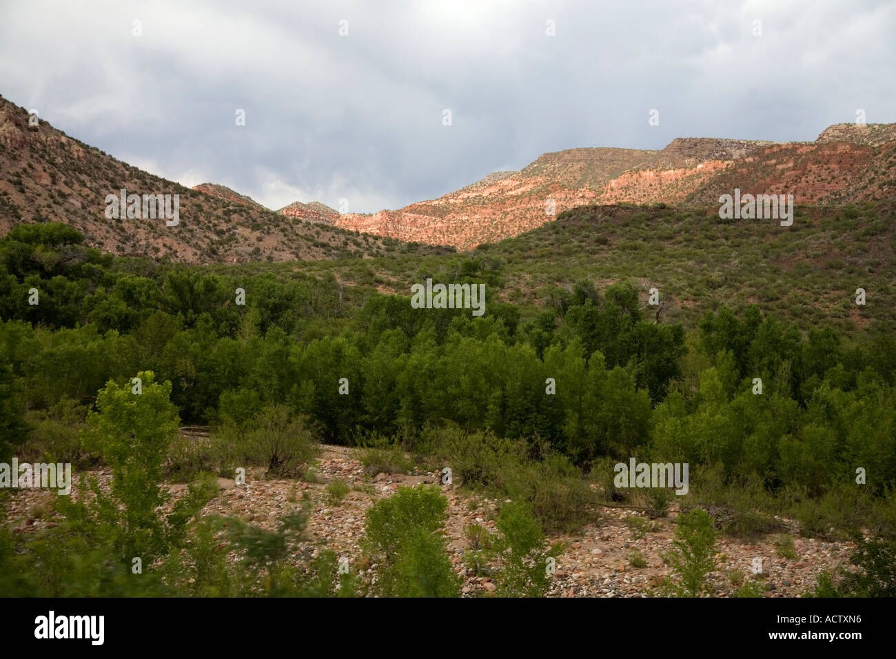 Green trees in front of red rock formations, Verde Canyon wilderness as ...
