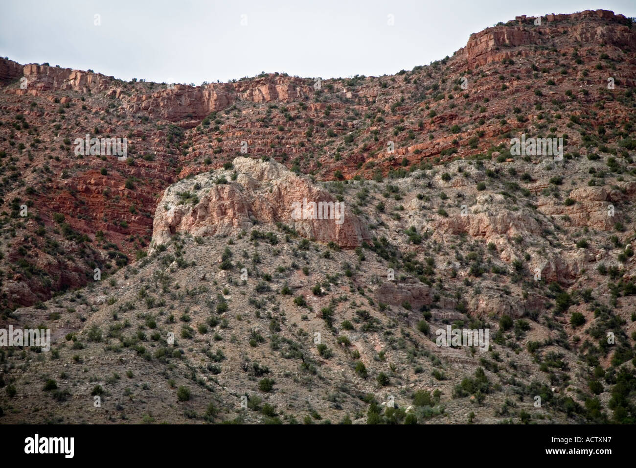 Red rocks with scattered trees, Verde Canyon wilderness as seen from ...