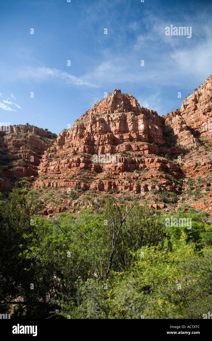 Striated red rocks and green trees, Verde Canyon wilderness as seen ...