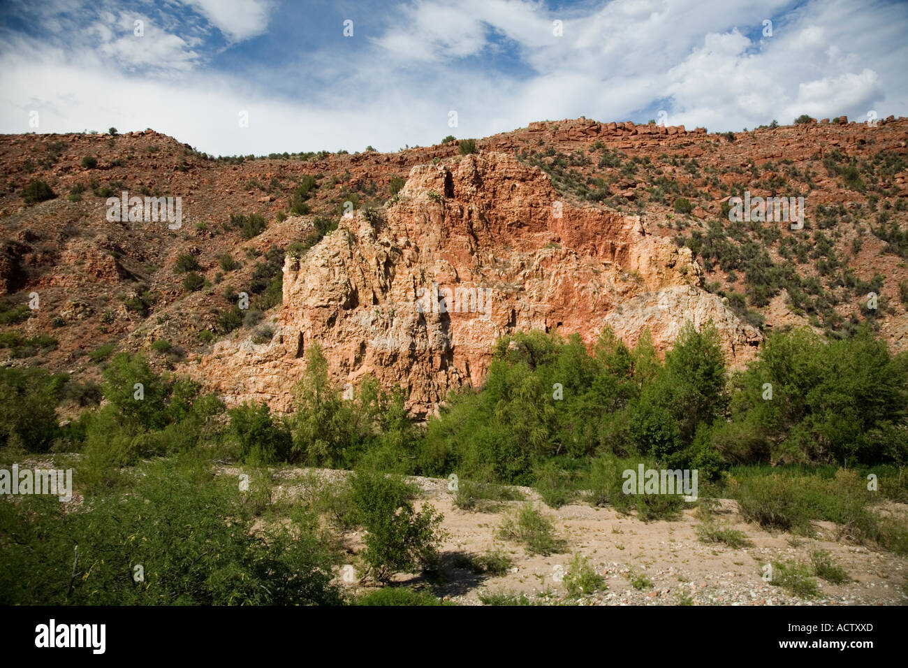 Red rocks and river bed with green trees, Verde Canyon wilderness as ...