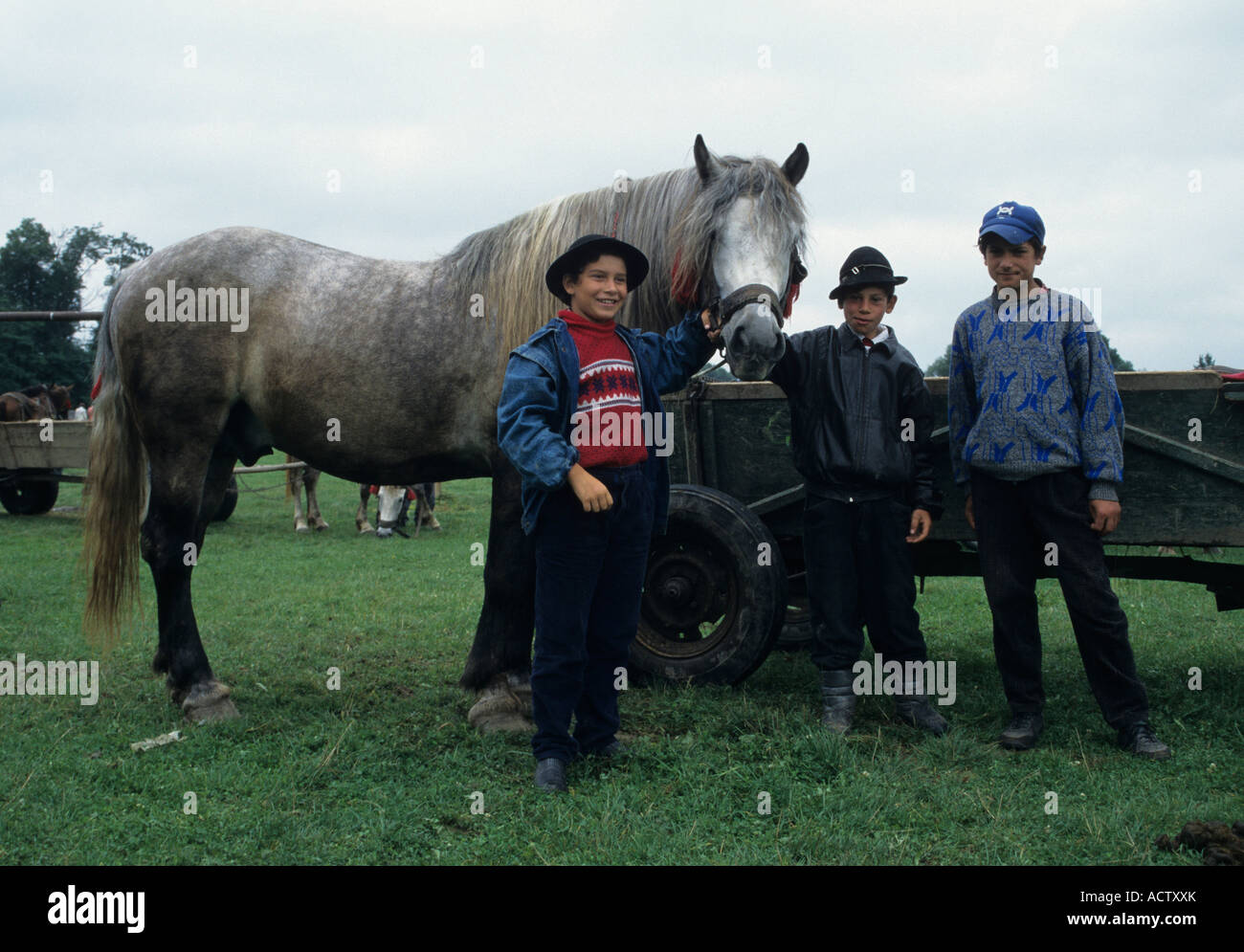 Gypsy boys at horse fair in Romania Stock Photo - Alamy