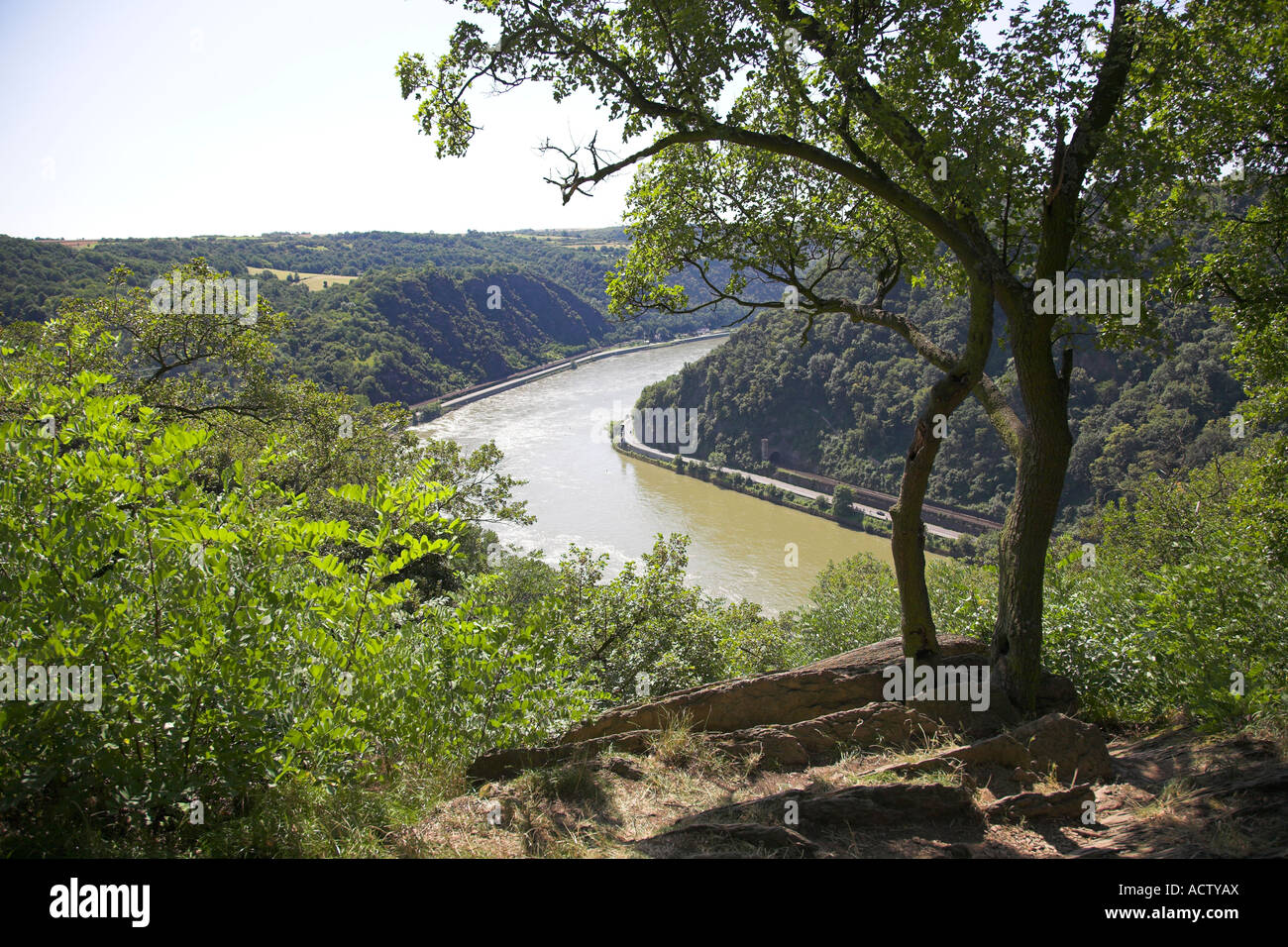 View of the river Rhine as seen from the top of the Loreley rock ...