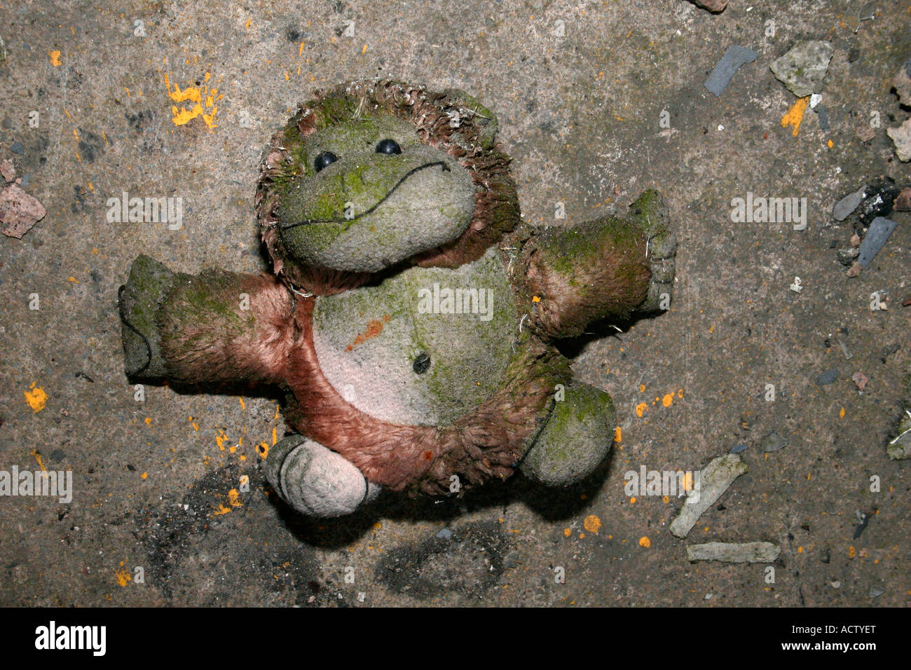 Old abandoned stuffed toy Stock Photo - Alamy