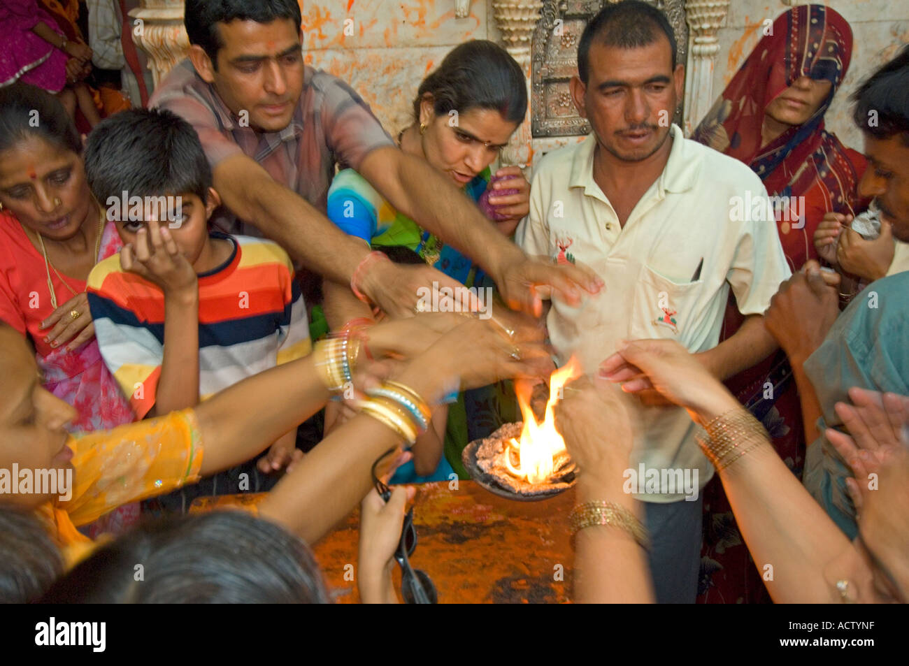 Inside the Karni Mata Temple (Rat Temple) with pilgrims reaching to put ...