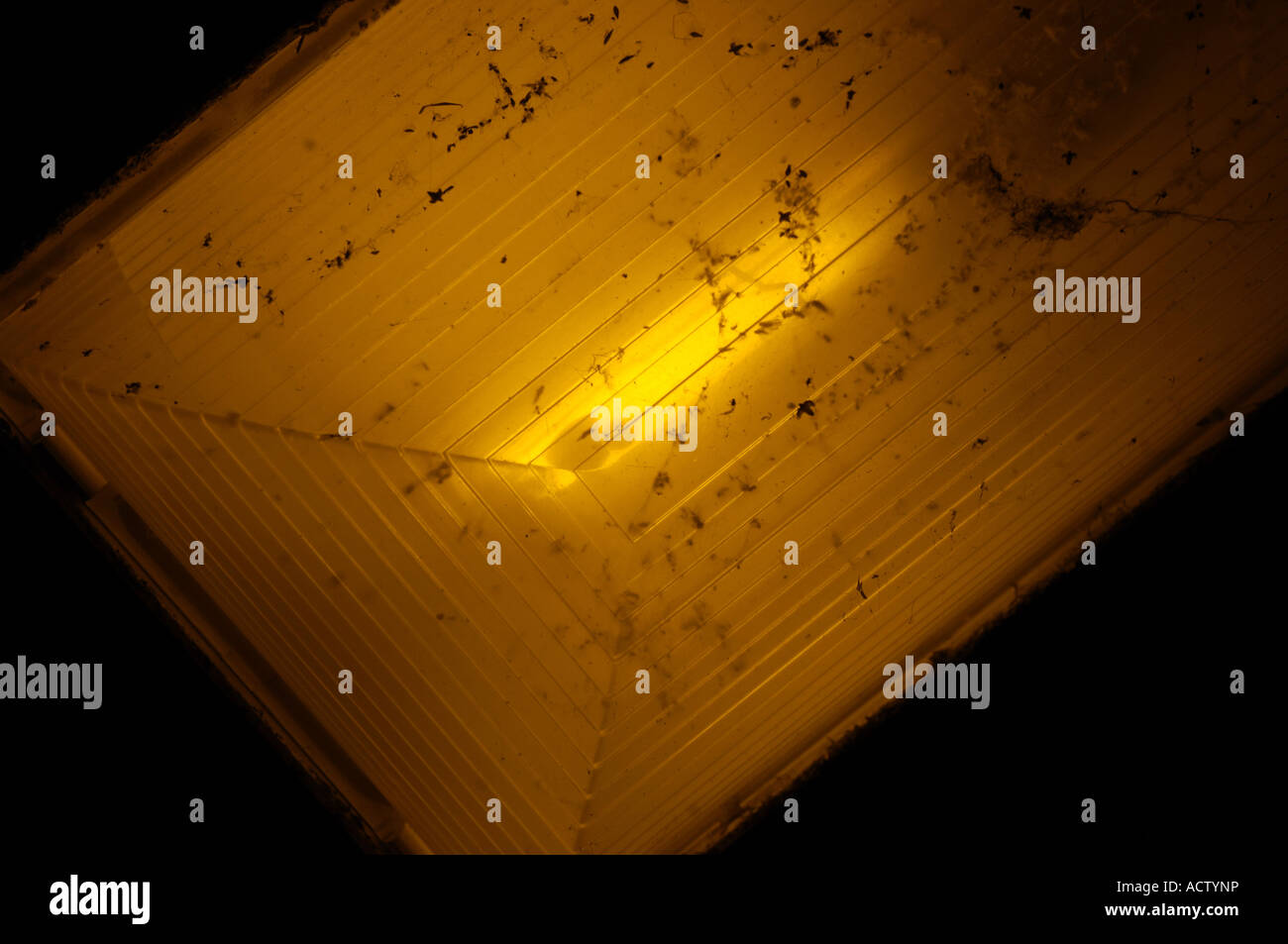 incandescent light dull negative ugly dirty sinister grim grime ...