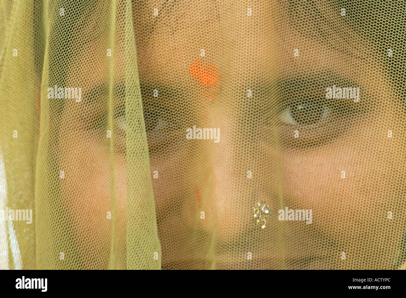 Close up portrait inside the Karni Mata Temple (Rat Temple) of an ...