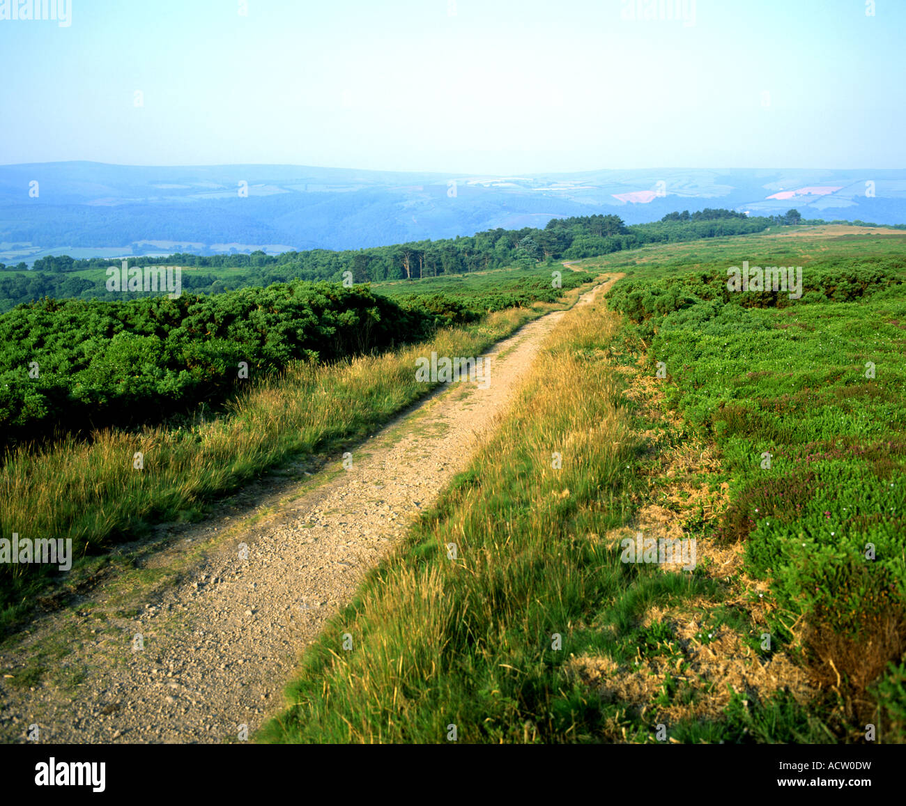 Bossington hill path hi-res stock photography and images - Alamy