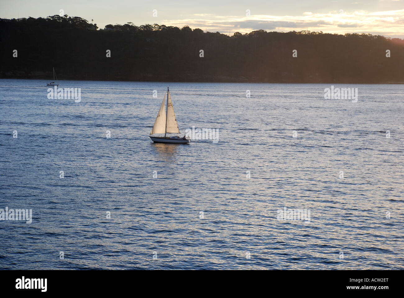 Sydney elizabeth bay yacht hi-res stock photography and images - Alamy