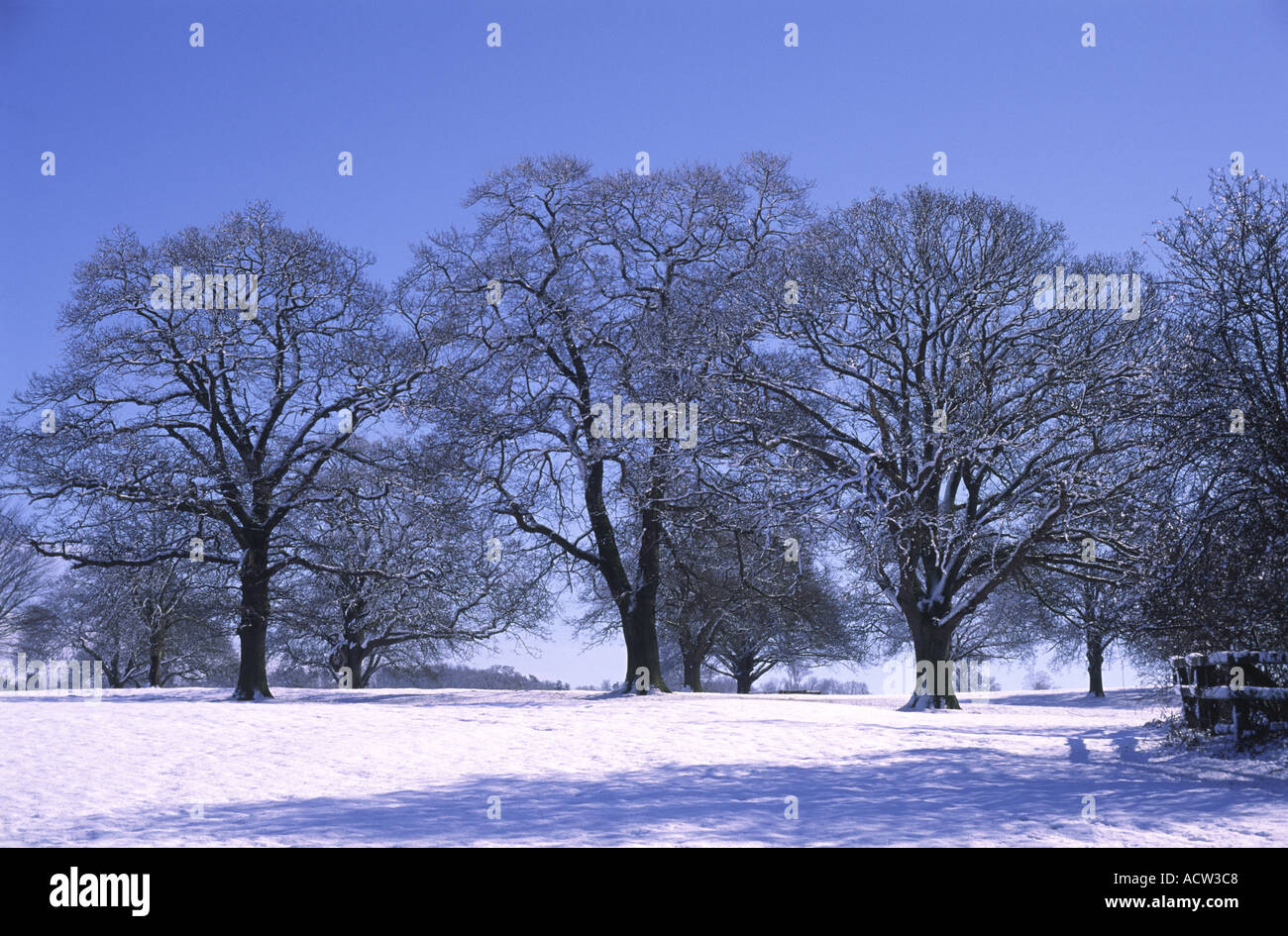 Winter snow warwickshire uk hi-res stock photography and images - Alamy
