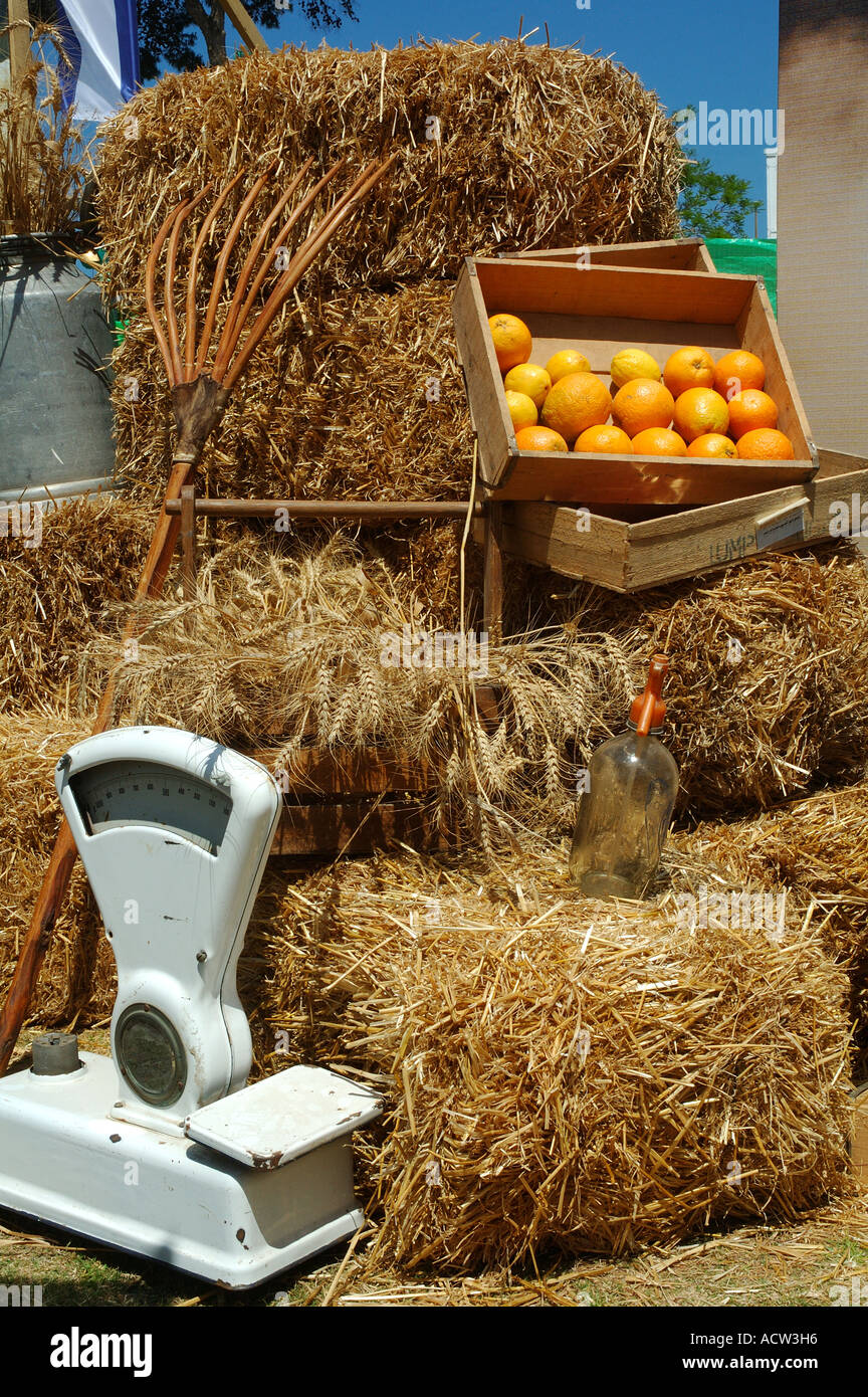 Hay packs piled Stock Photo - Alamy