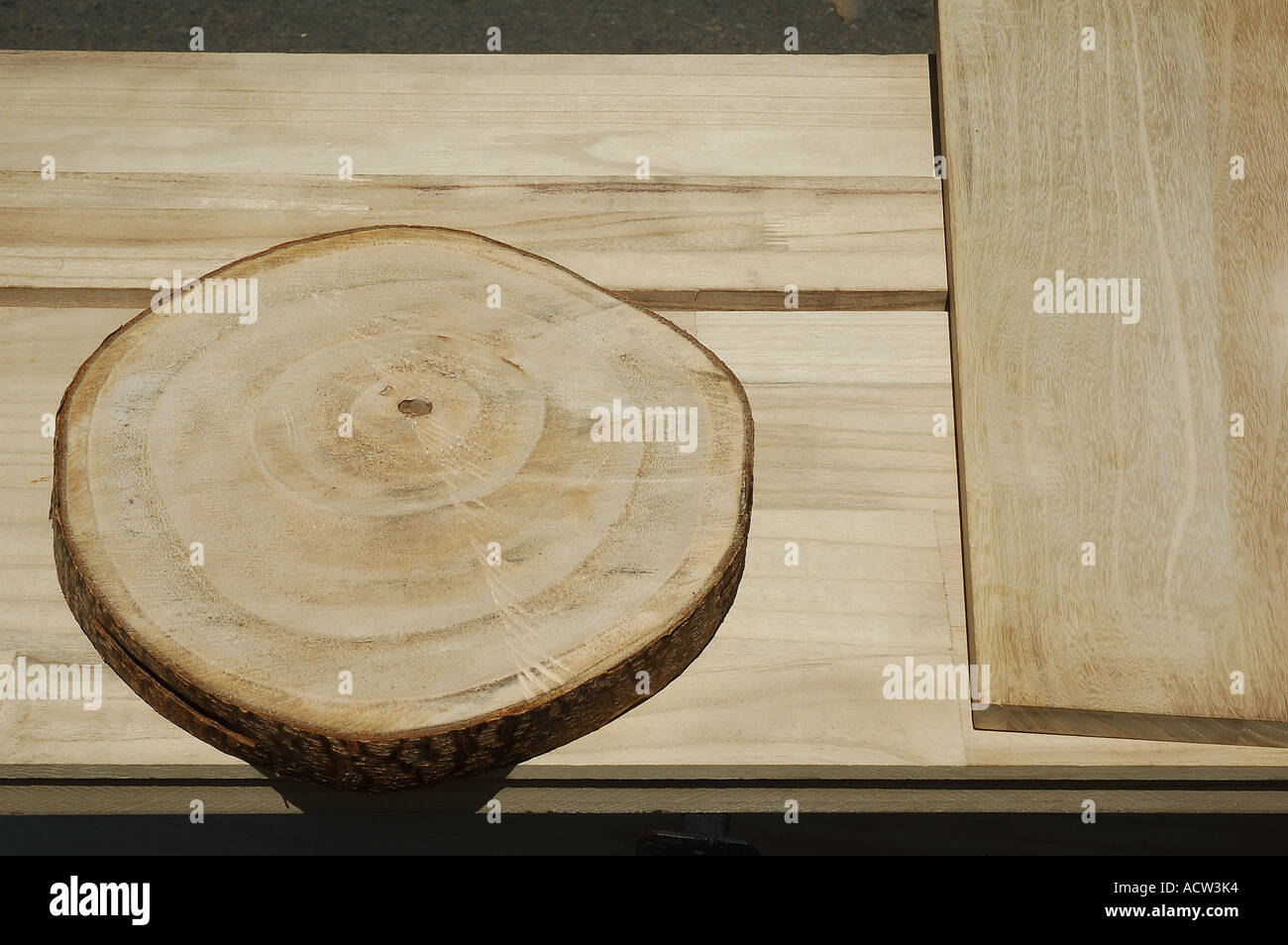 Oak tree mast hi-res stock photography and images - Alamy