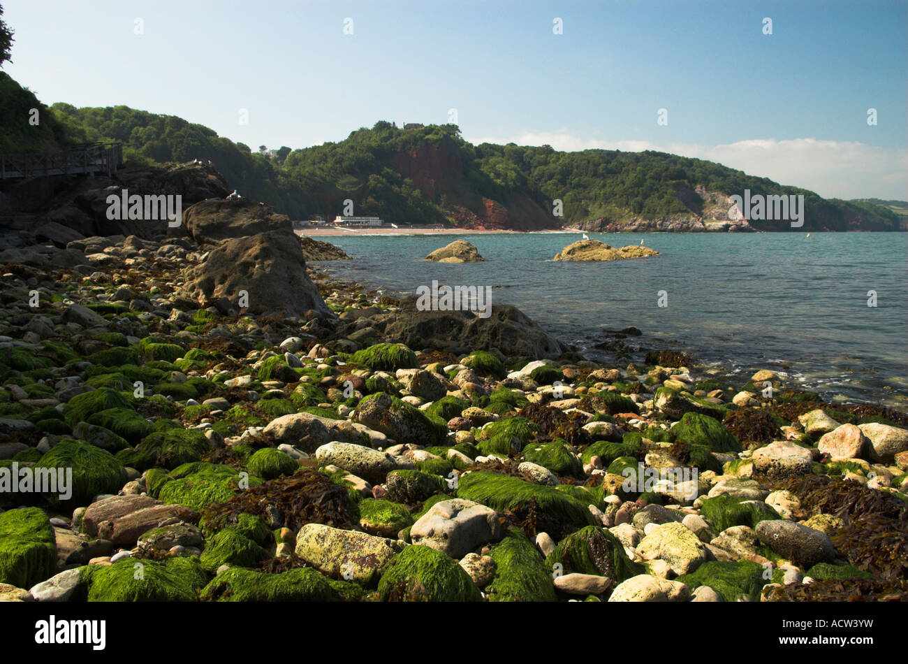 Babbacombe Beach Devon England Great Britain U K Stock Photo - Alamy