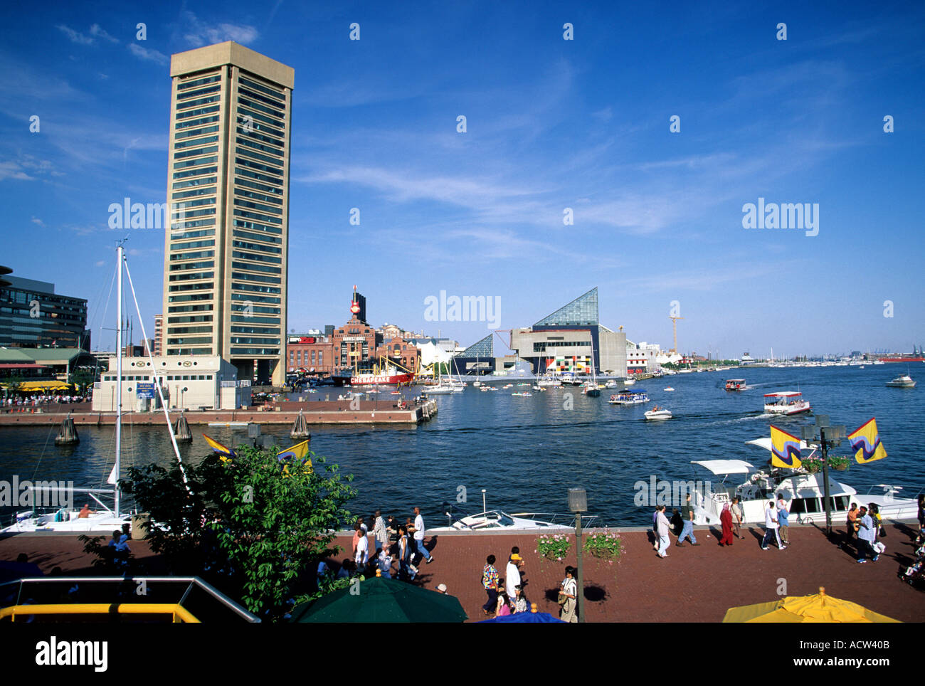 Baltimore Harbor and World Trade Center Baltimore Maryland USA Stock ...