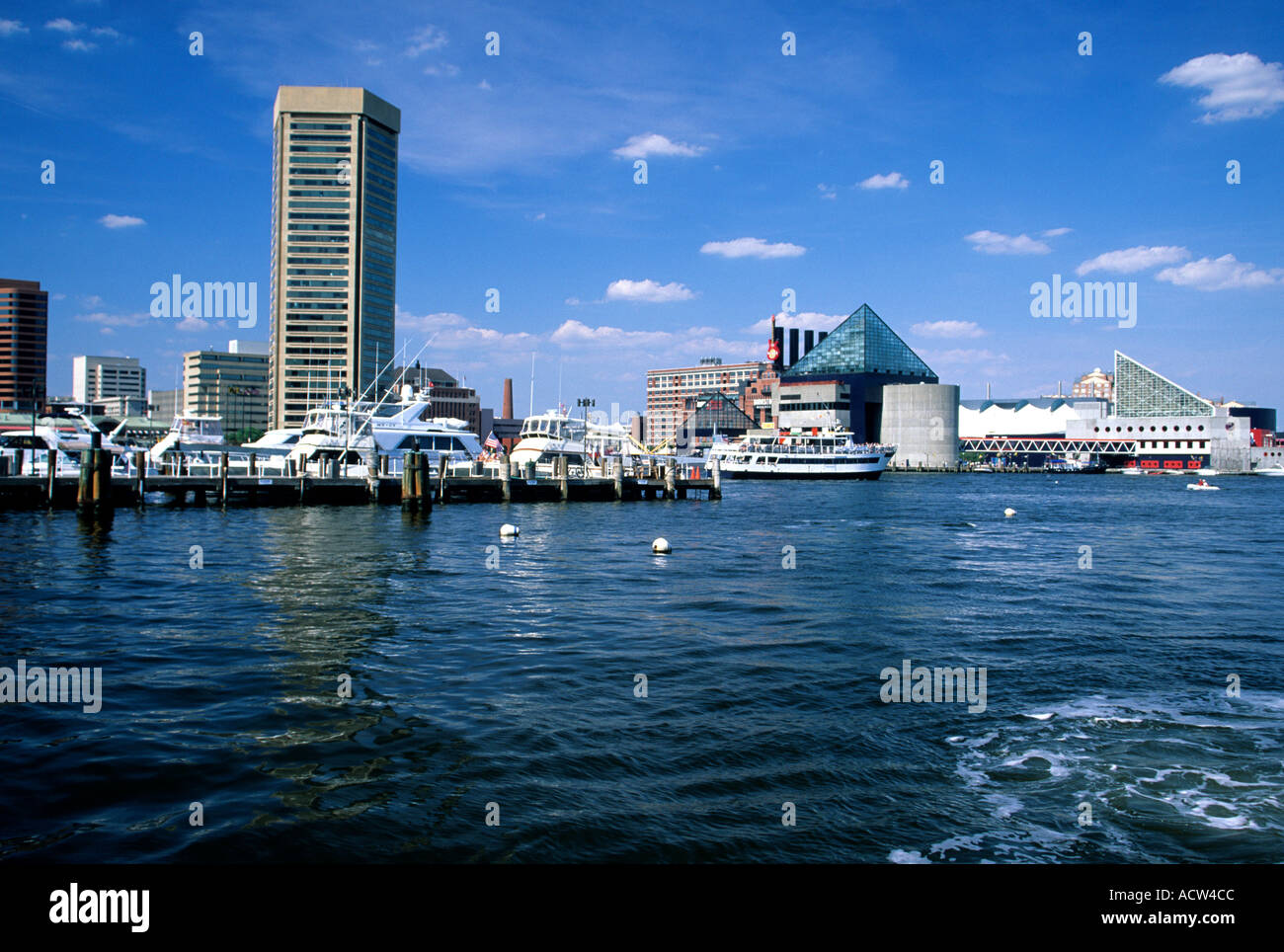 Baltimore Harbor and World Trade Center Baltimore Maryland USA Stock ...