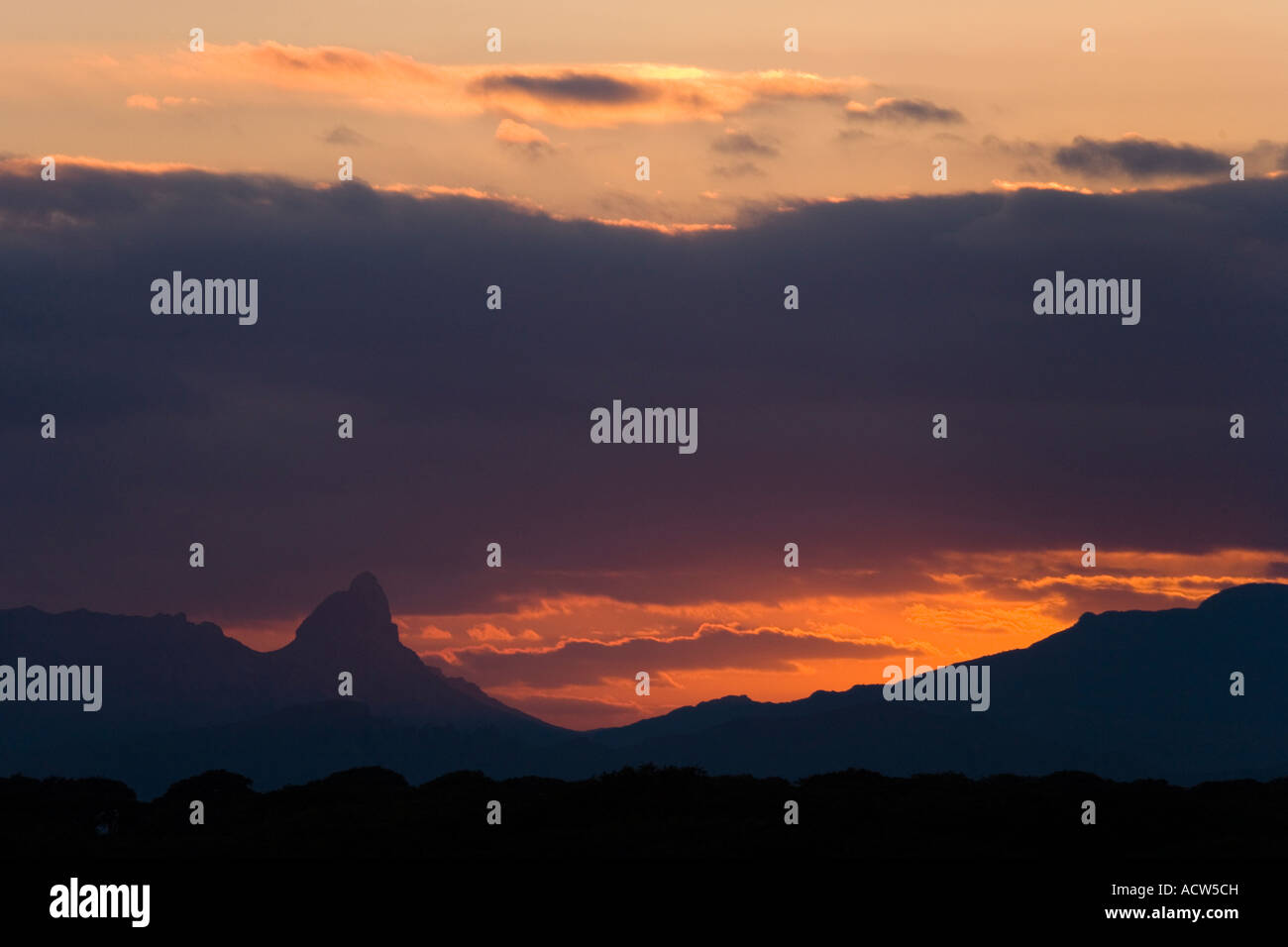 Sucotra hi-res stock photography and images - Alamy