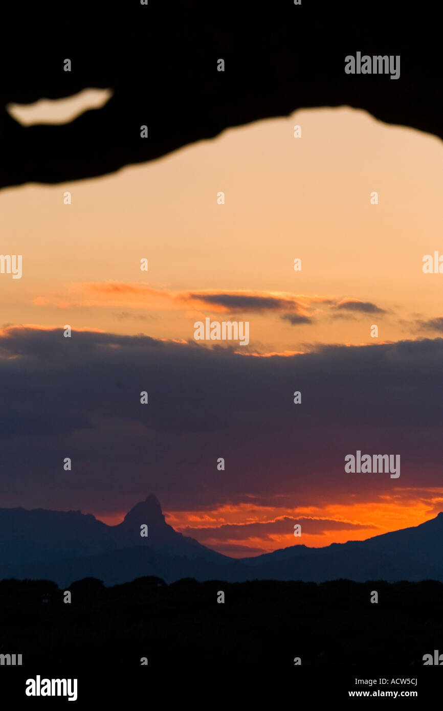 Sucotra hi-res stock photography and images - Alamy