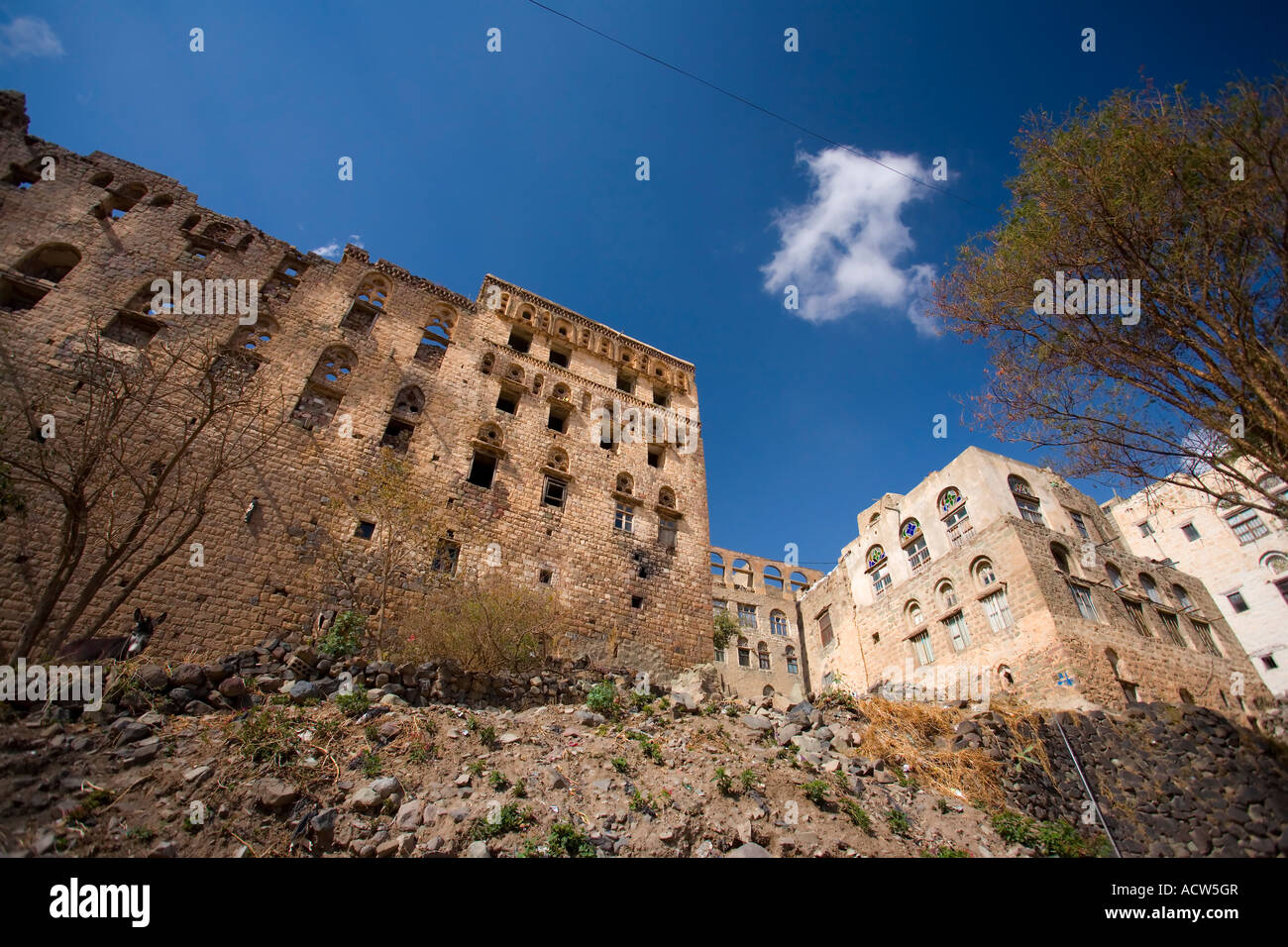Arwa hi-res stock photography and images - Alamy