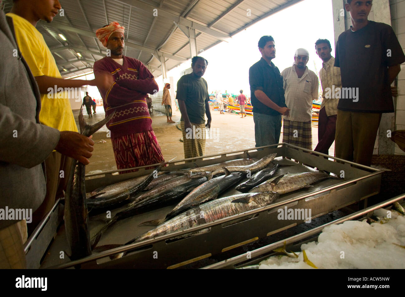 The lively huge Al Hudayda fish market Yemen Stock Photo - Alamy
