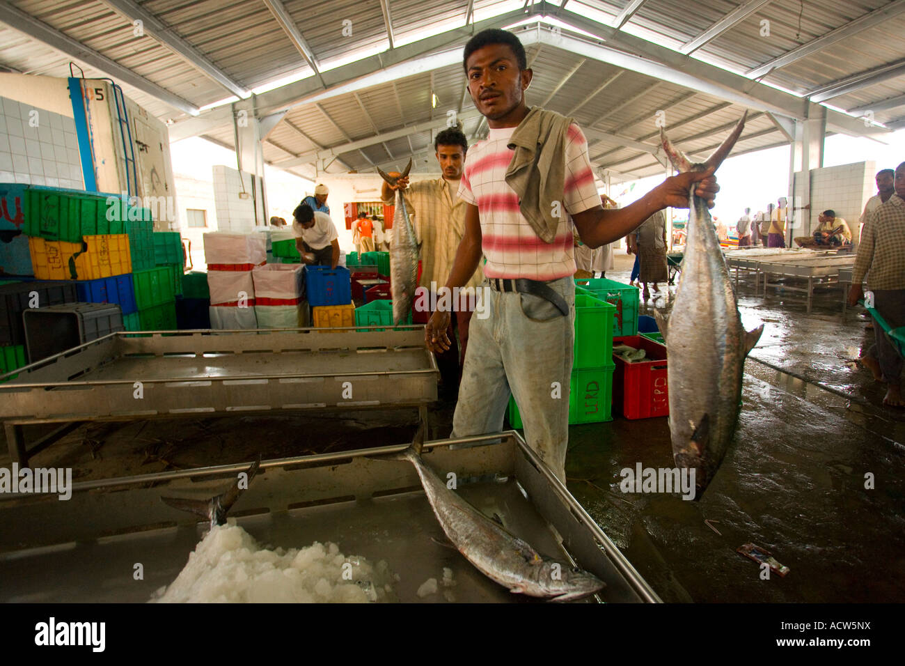 The lively huge Al Hudayda fish market Yemen Stock Photo - Alamy