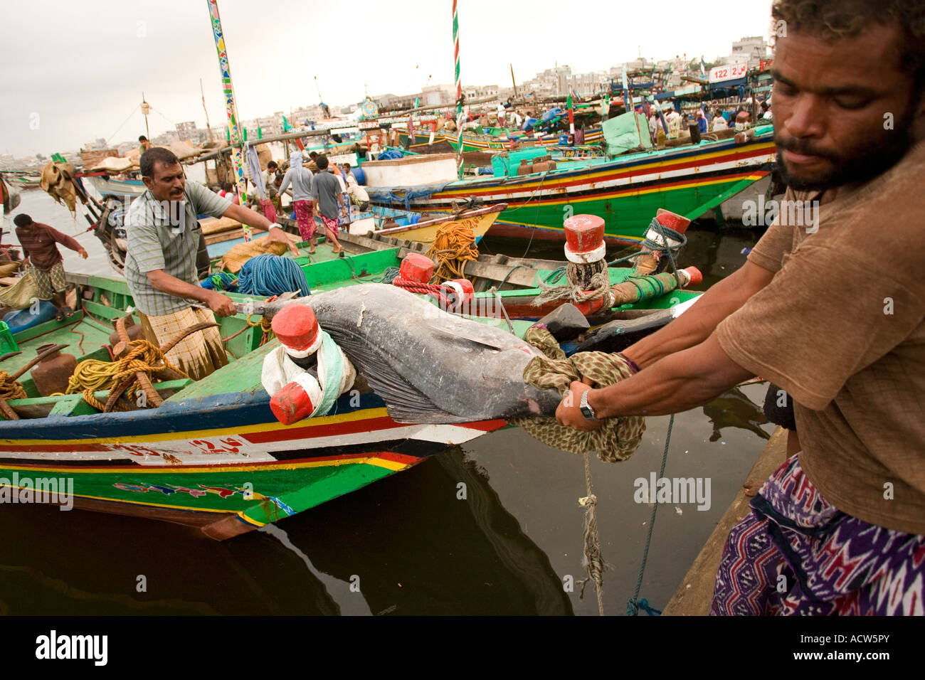 The lively huge Al Hudayda fish market Yemen Stock Photo - Alamy