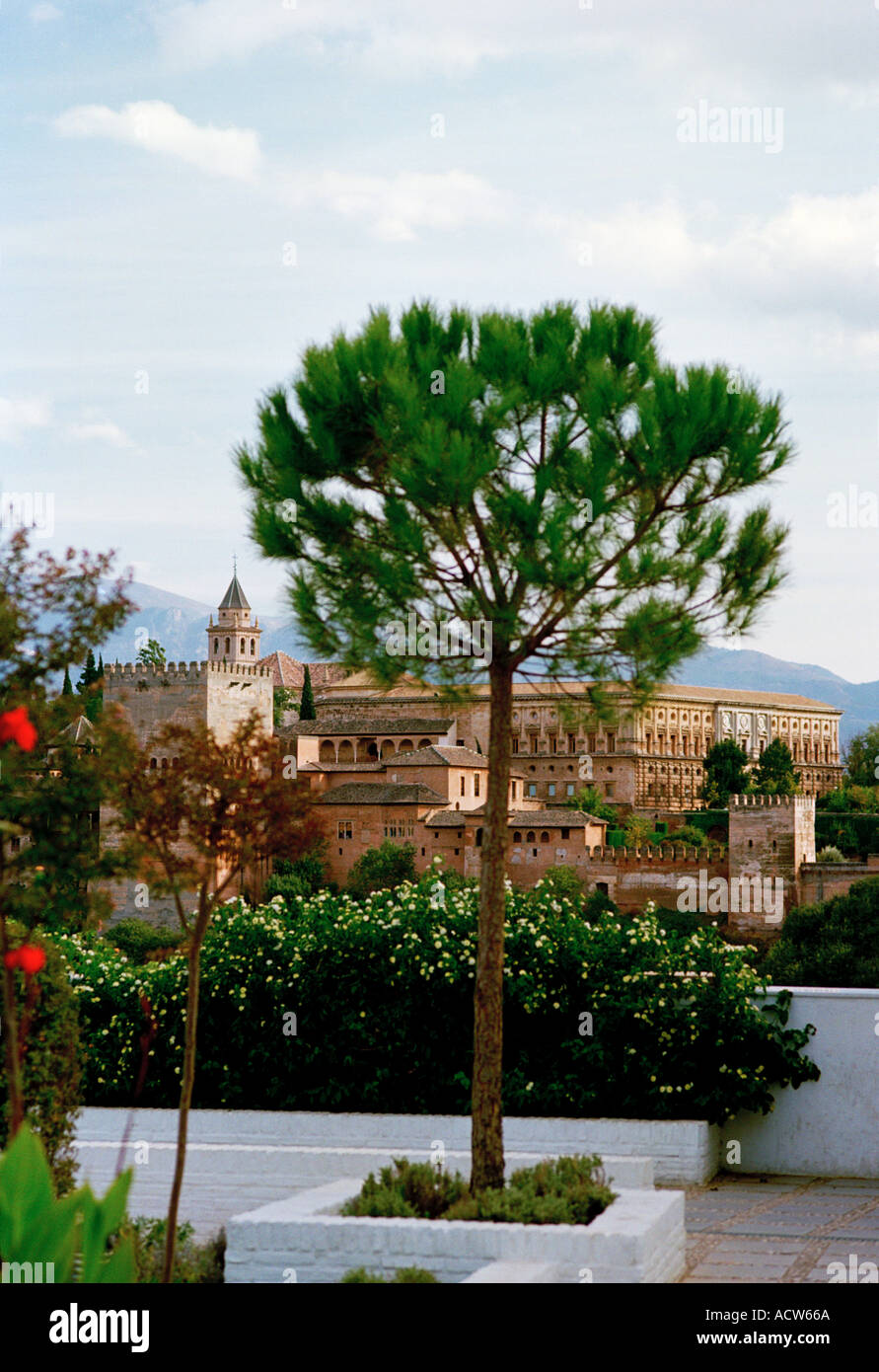 From the garden of the new mosque in Granada the magnificent palace ...