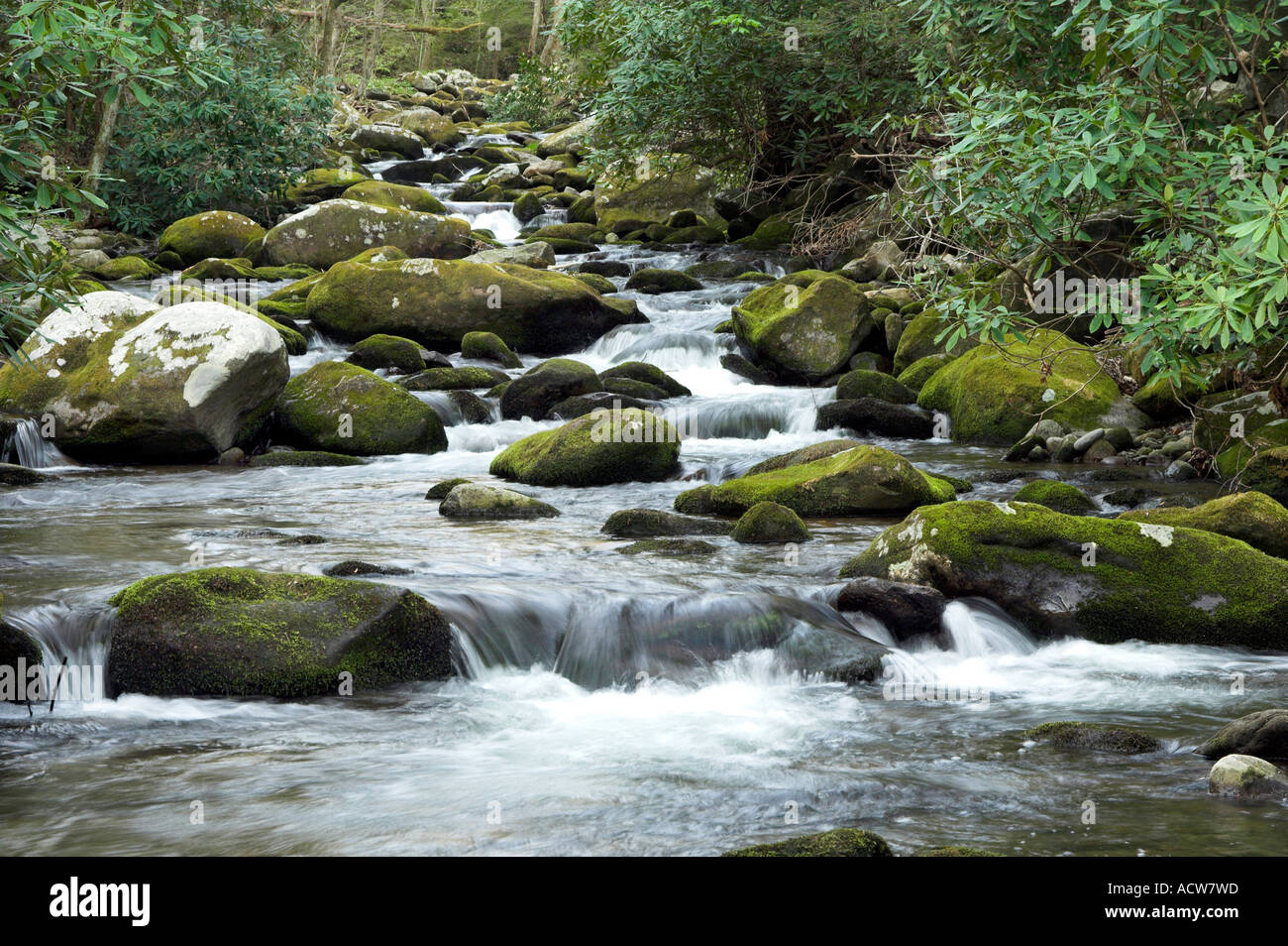 Stream waterfall in mountain forest hi-res stock photography and images ...