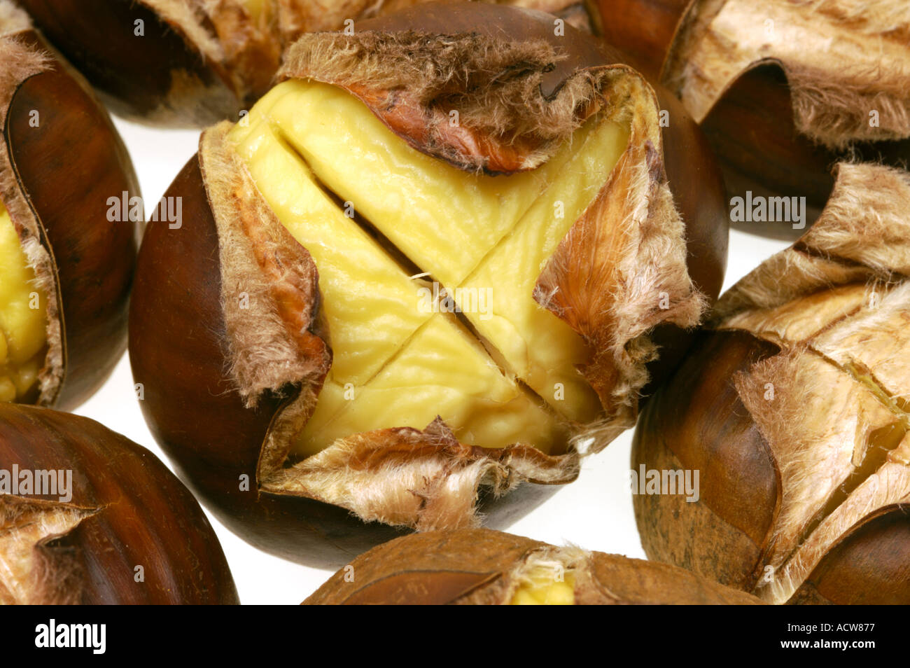 Sweet cooked roasted edible chestnut nuts Autumn Wild Nature Aboreal ...