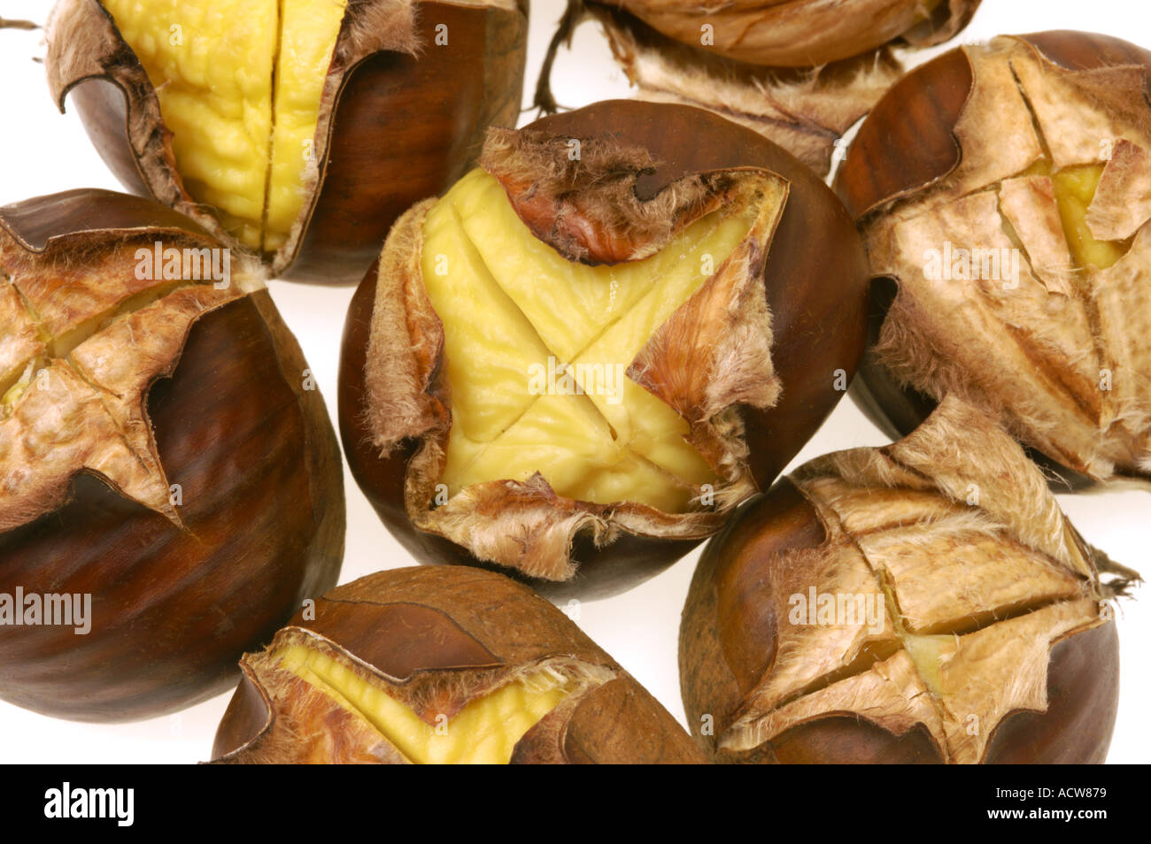 Sweet cooked roasted edible chestnut nuts Autumn Wild Nature Aboreal ...