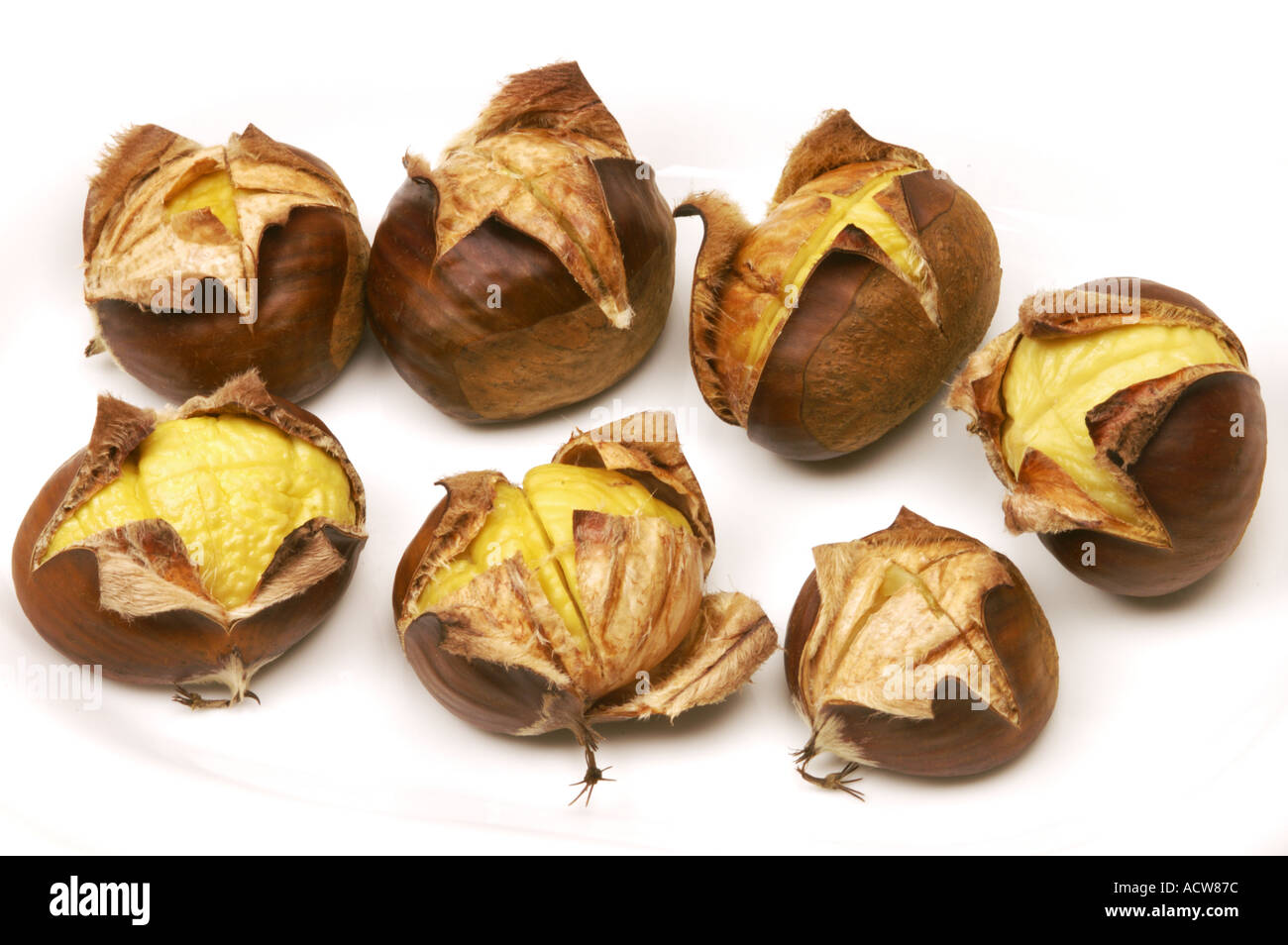 Sweet cooked roasted edible chestnut nuts Autumn Wild Nature Aboreal 7 ...