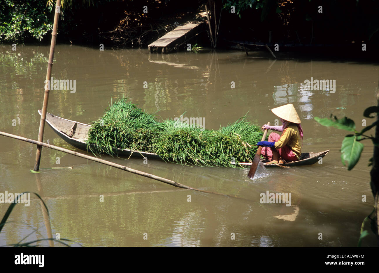 Mekong Delta, Woman transporting Reed, Vietnam Stock Photo - Alamy