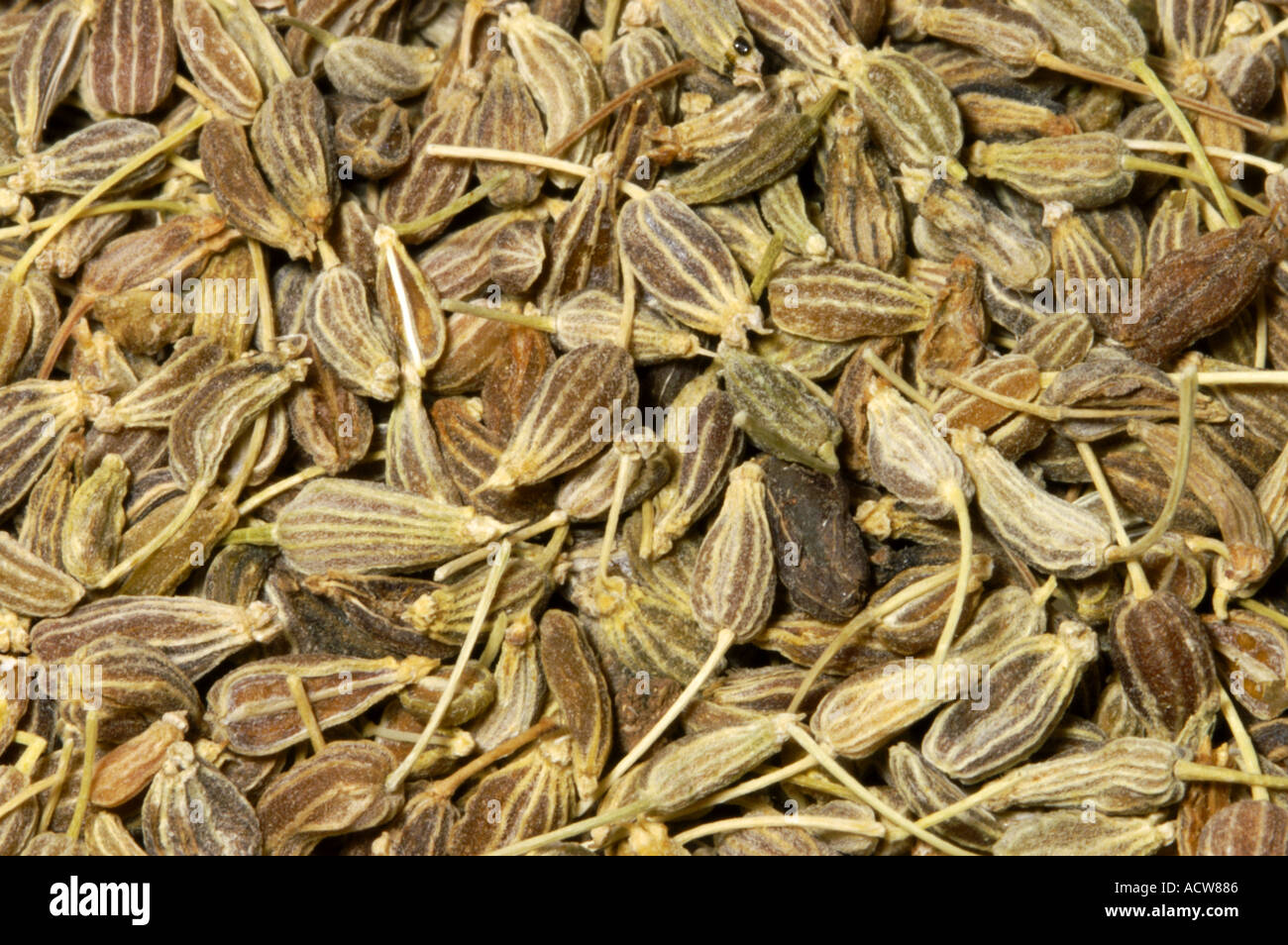Herbs shrink spices spicy hot recipe hi-res stock photography and ...
