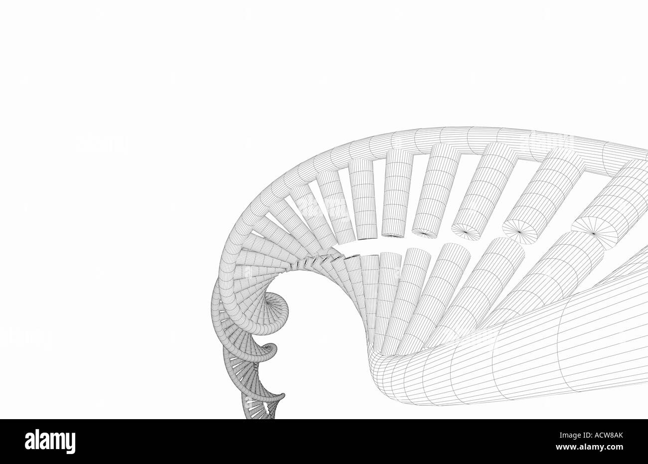 Dna Backbone High Resolution Stock Photography and Images - Alamy