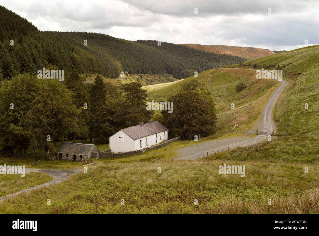 Tywi Forest High Resolution Stock Photography and Images - Alamy