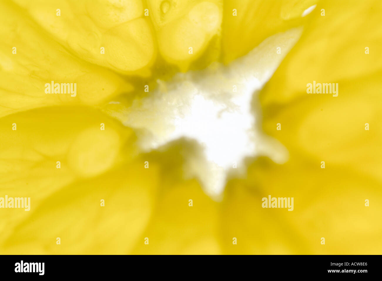 Lime juice scurvy hi-res stock photography and images - Alamy